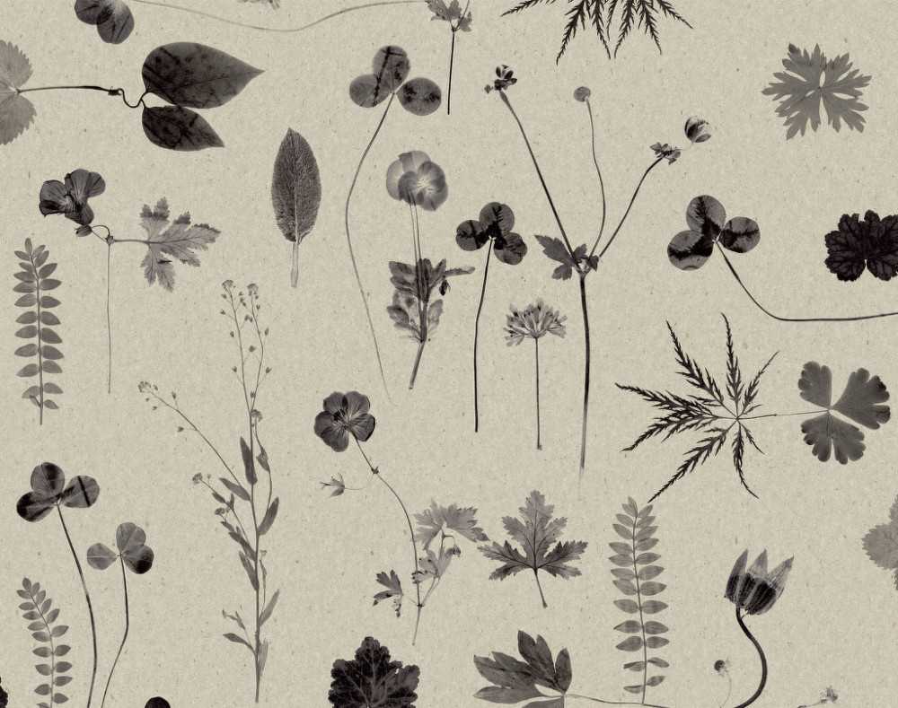 Tapeta Botanica 3662 | DesignVille